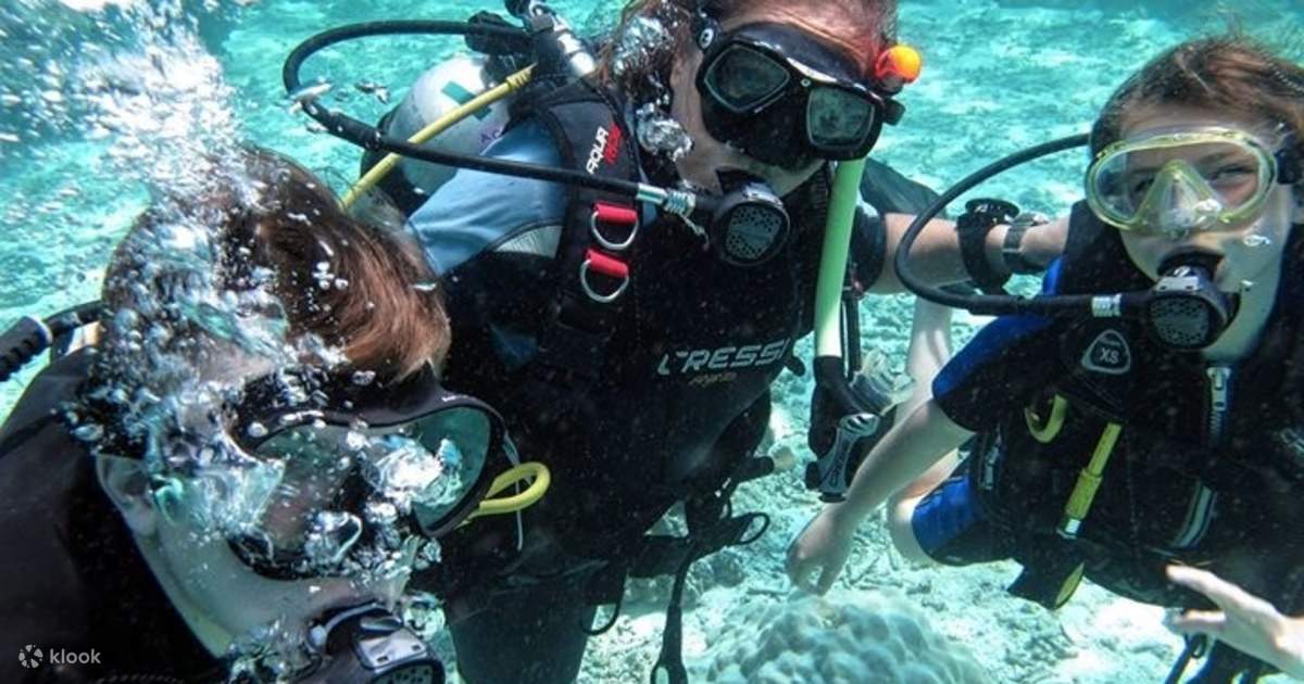 PADI 5つ星IDCリゾートでランタ島でPADIオープンウォーターダイバーコース | Klook